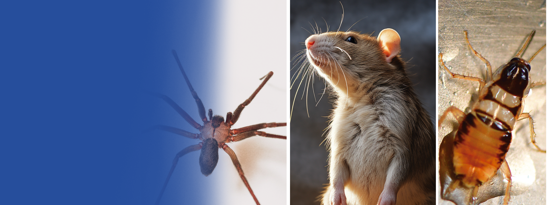 EcoSuministros - ¡Tu distribuidor favorito!